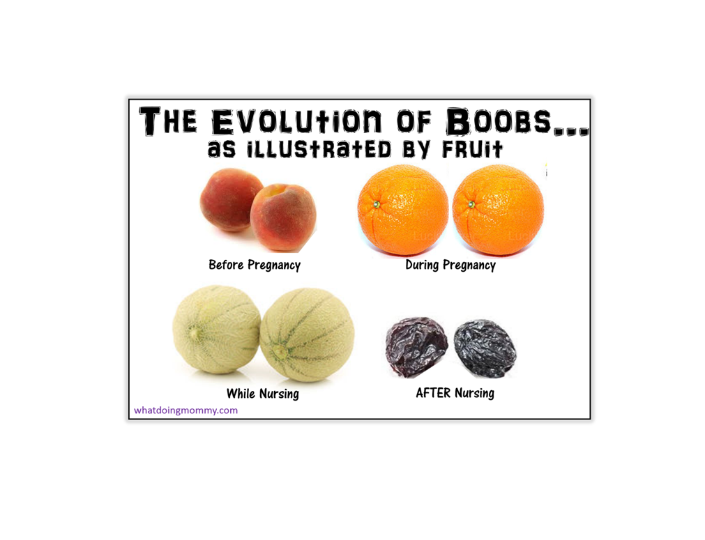 The Evolution Of Boobs What Doing Mommy 5119